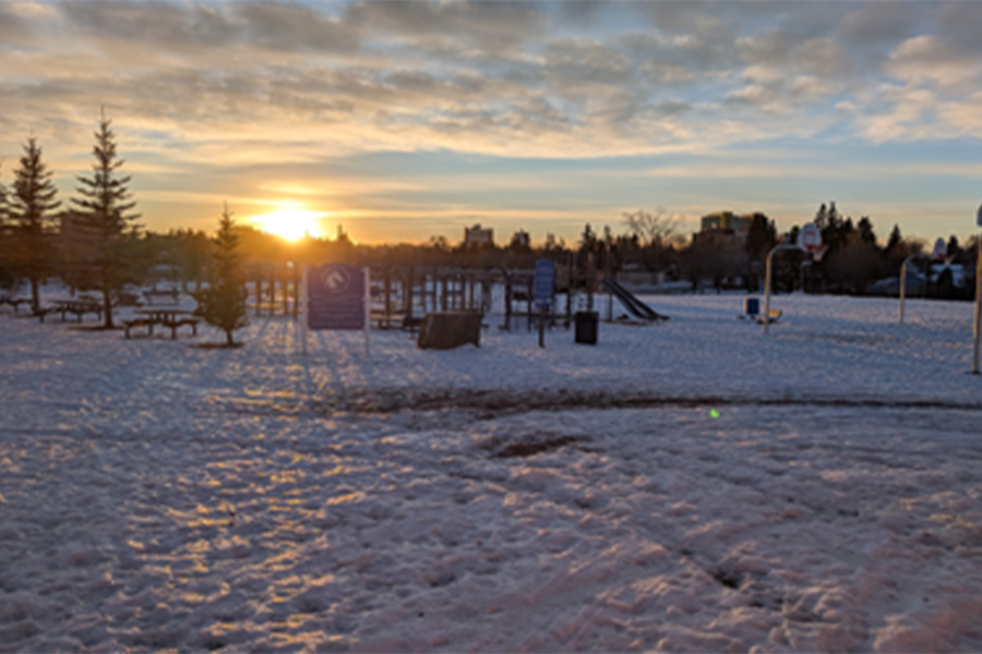 Dec. 16-20 Update | Fine Arts Showcase, Qué Pasa, High School Open ...